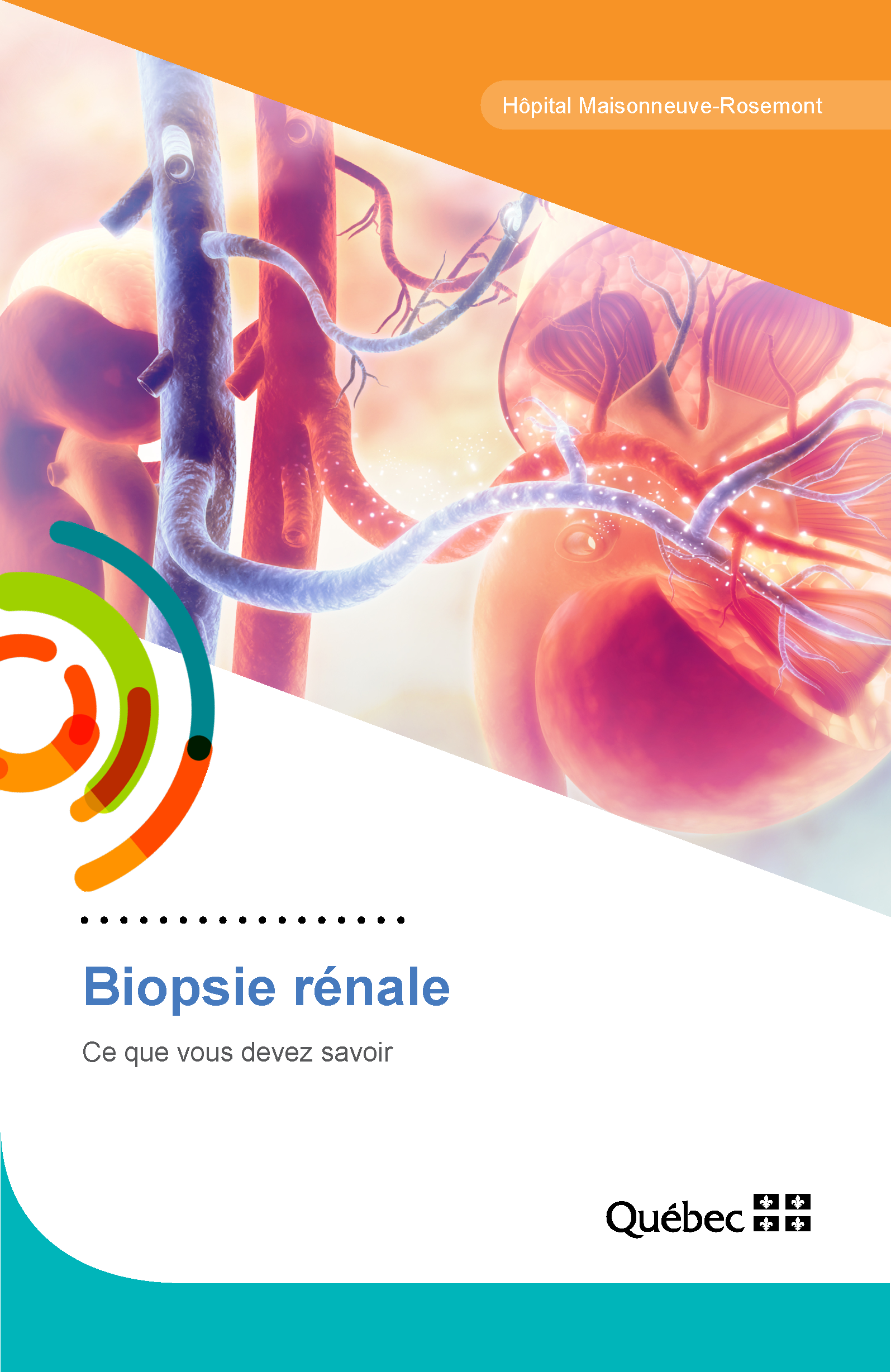 Biopsie rénale : Ce que vous devez savoir | Bibliothèque CIUSSS de l ...